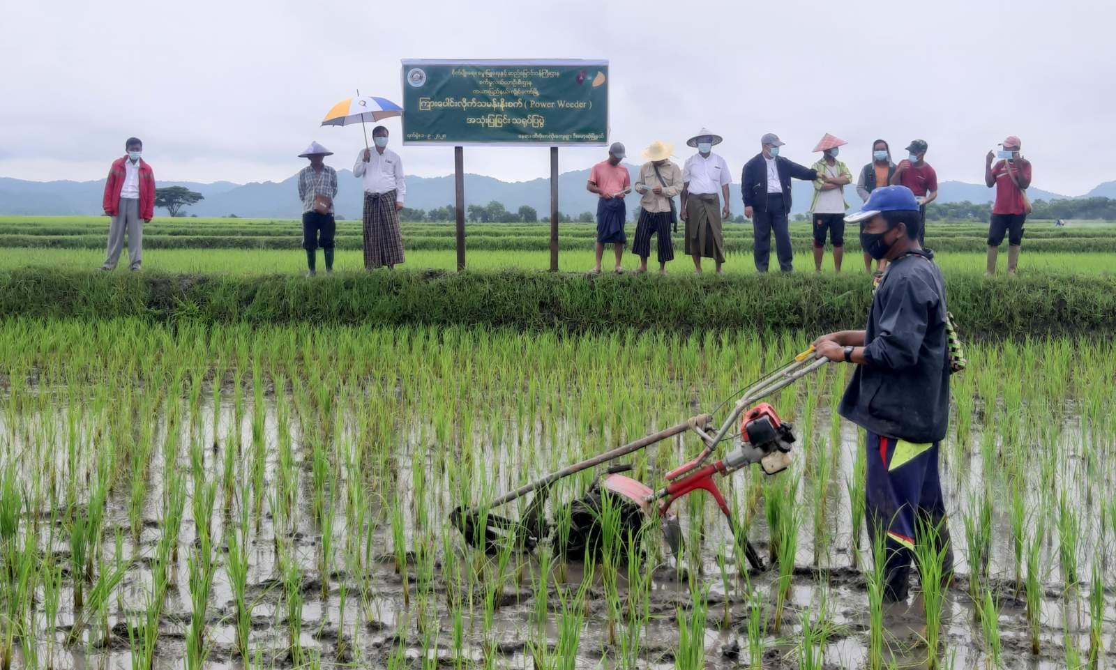 ဒီးမော့ဆိုမြို့နယ်၌ Cerp အစီအစဉ်အရ ကြားပေါင်းလိုက်စက် Power Weeder