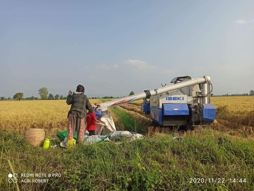 စစ်ကိုင်းတိုင်းဒေသကြီး ကလေးမြို့နယ်ပျဉ်းခုံကြီးကျေးရွာတွင်ကိုဗစ် ၁၉စီးပ