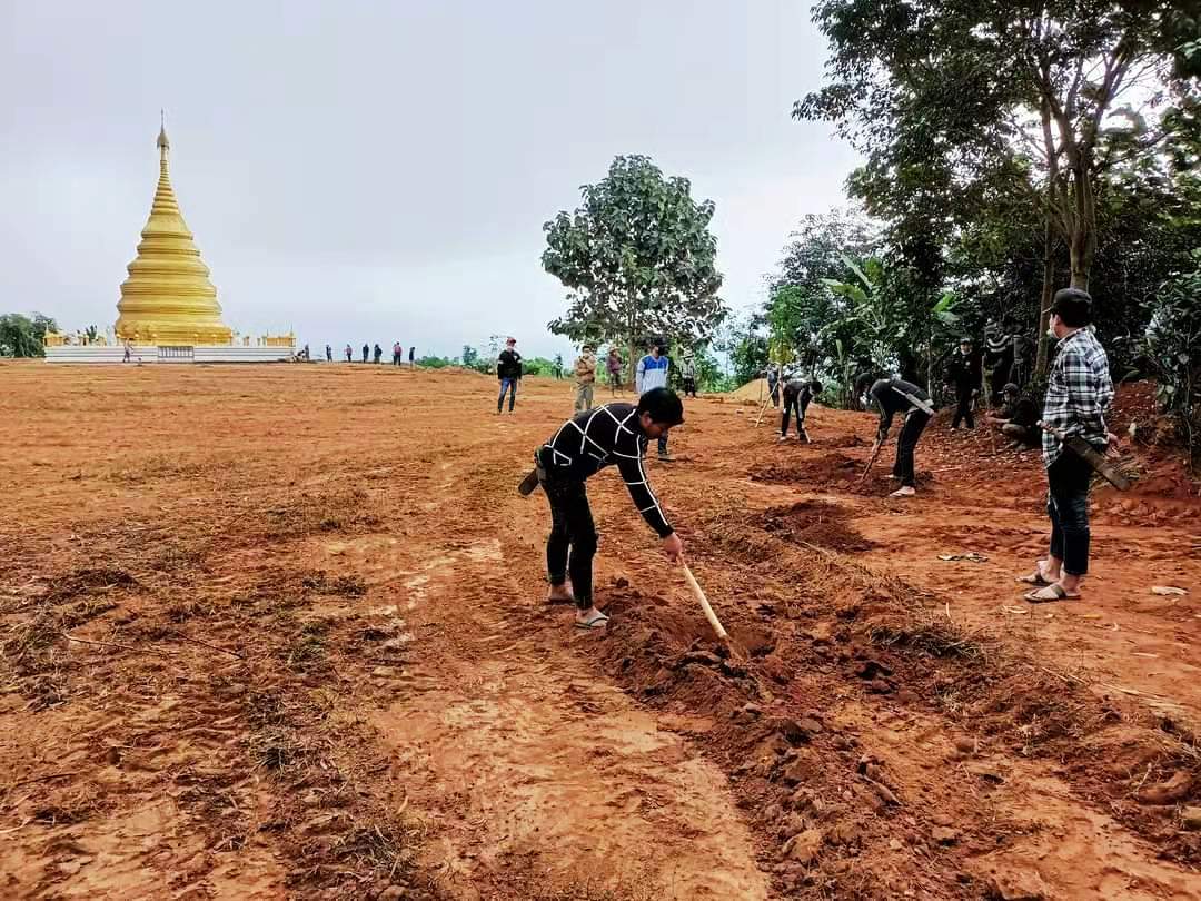 မိုင်းယောင်းမြို့နယ် ဝမ်ပုံဘုရားစေတီကုန်း၌ ပန်းအလှချယ်ရီပင် ၉၀ ကျော
