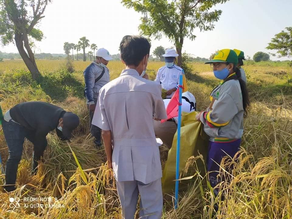 စစ်ကိုင်းတိုင်းဒေသကြီး ချောင်းဦးမြို့နယ် တောကျောင်းကြီးကျေးရွာတွင