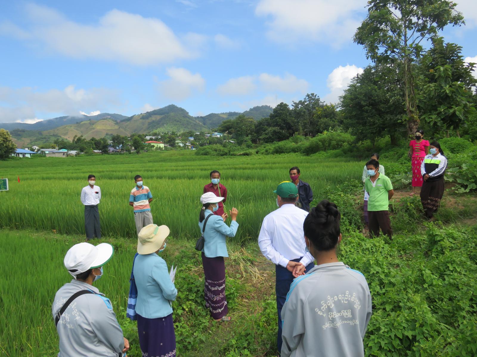 မိုင်းခတ်၌ ကိုဗစ် ၁၉ စီပွားရေးကုစားမှုအစီအစဉ် Cerp ဖြင့် ဆောင်ရွက်သော