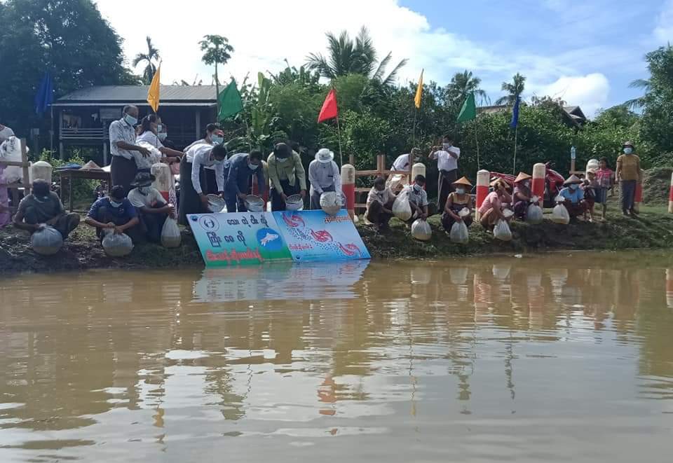 စစ်ကိုင်းတိုင်းဒေသကြီး ပင်လည်ဘူးမြို့နယ် ကံကုန်းကျေးရွာရှိ ဖွံ့ဖြိုးရေး