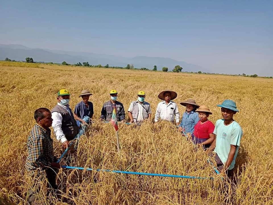 ကလေးမြို့နယ် အရှေ့စည်းကျေးရွာတွင် ကိုဗစ် ၁၉ စီးပွားရေးကုစားမှု Cerp