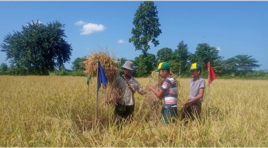 ကလေးခရိုင် မင်းကင်းမြို့နယ်တွင် ကိုဗစ် ၁၉ စီးပွားရေးကုစားမှု Cerp