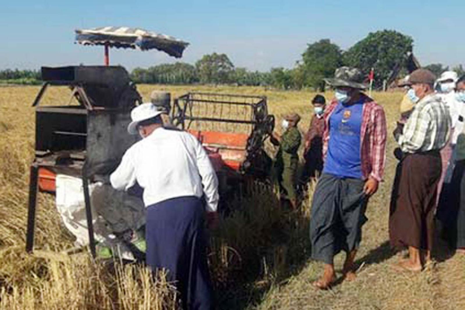 မွန်ပြည်နယ် ချောင်းဆုံမြို့နယ် ကော့ကဒိုက်ကျေးရွာ၌ မိုးစပါး မျိုးစေ့ထုတ