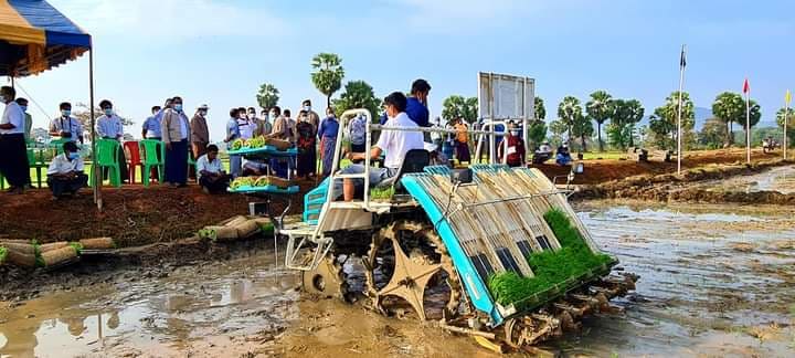 ၂၀၂၀ပြည့်နှစ် နွေစပါးကို ကောက်စိုက်စက်ဖြင့် စိုက်ပျိုးပြသခြင်း ကွင
