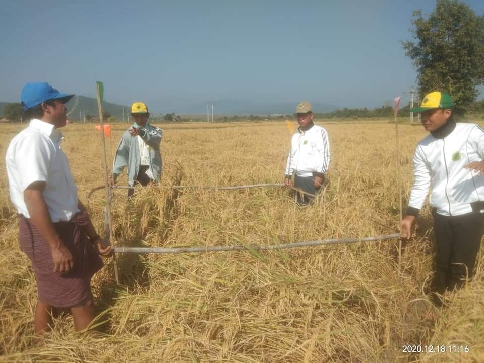 စစ်ကိုင်းတိုင်းဒေသကြီး ကလေးမြို့နယ် ရာဇဂြိုဟ်ကျေးရွာတွင် ကိုဗစ် ၁၉ စီးပ