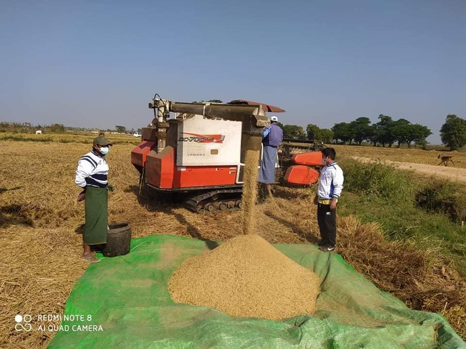 စစ်ကိုင်းတိုင်းဒေသကြီး ချောင်းဦးမြို့နယ် တောကျောင်းကြီးကျေးရွာတွင