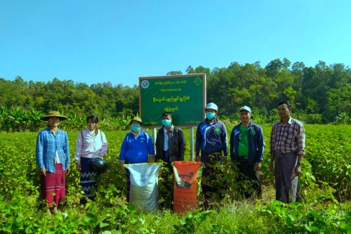 မကွေးတိုင်းဒေသကြီး ဂန့်ဂေါခရိုင် ထီးလင်းမြို့နယ်၌မိုးနှောင်းချည်မျှင်ရ