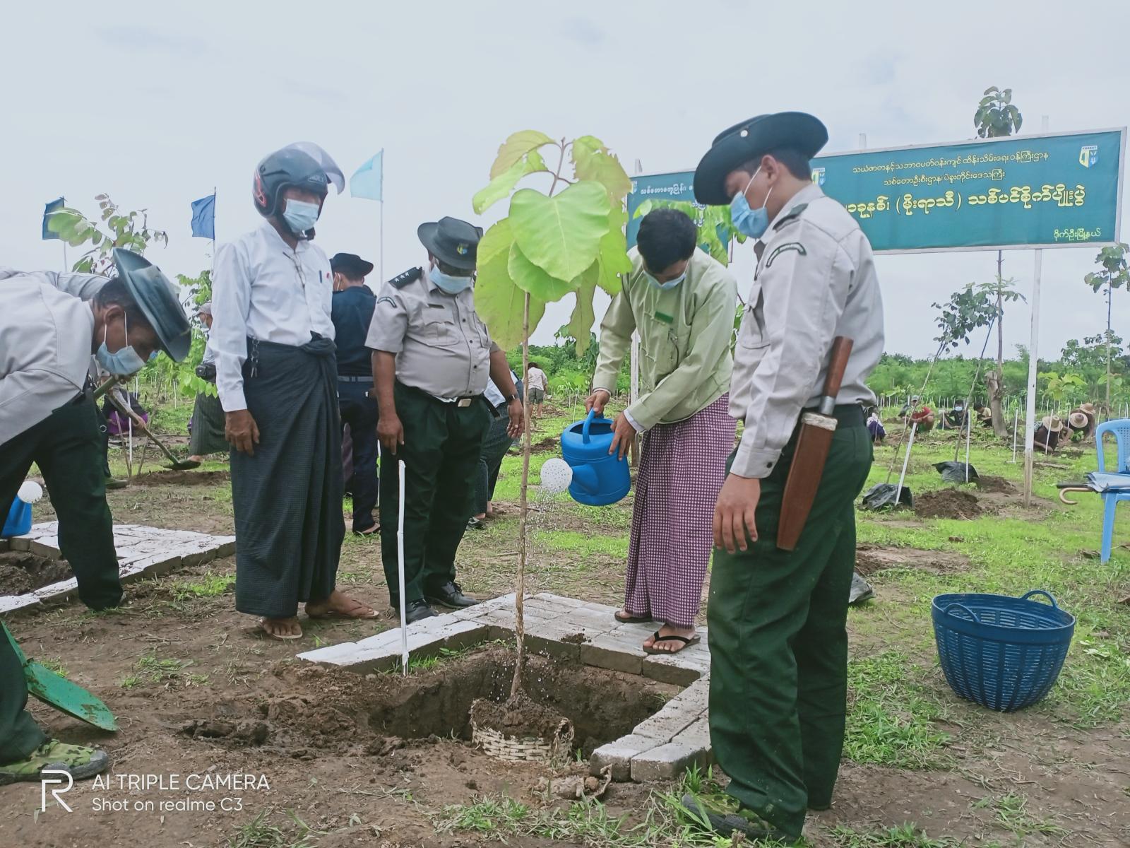 ၂၀၂၁ ခုနှစ် မိုးရာသီ သစ်ပင်စိုက်ပျိုးပွဲတော် ကိုဗစ် ၁၉ စည်းကမ်းချက်န