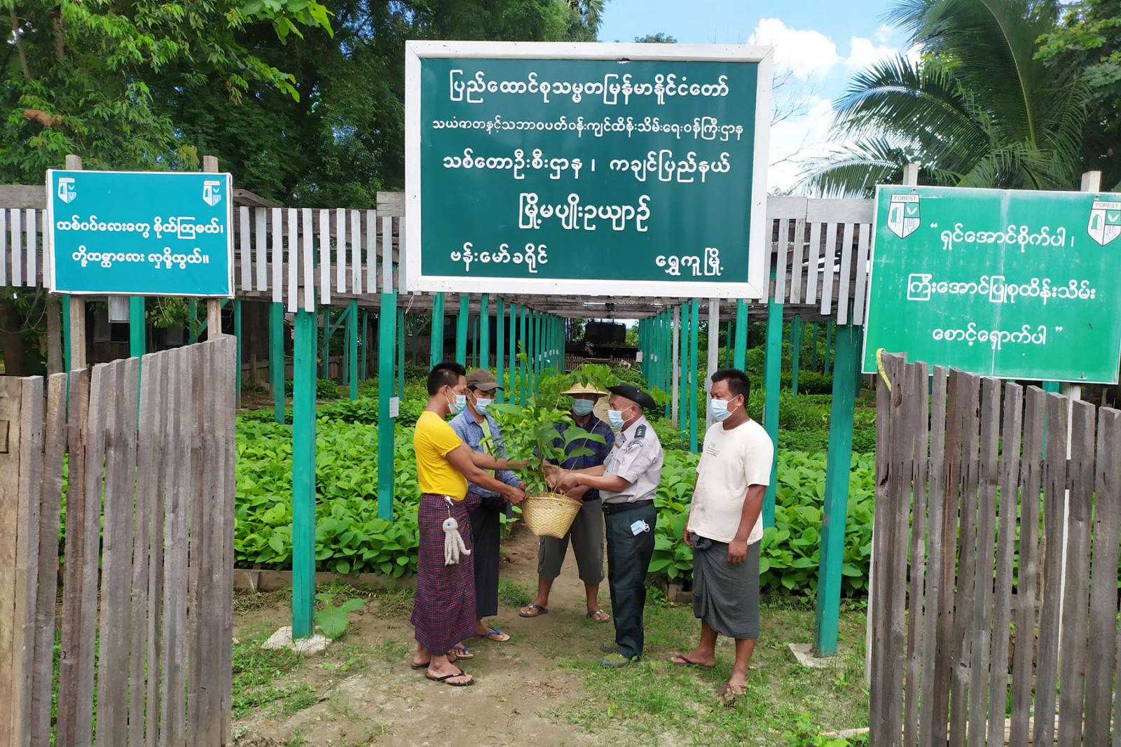 ရွှေကူမြို့၌ ၂၀၂၁ ခုနှစ် မိုးရာသီ တစ်အုပ်တစ်မ သစ်ပင်စိုက်ပျိုးပွဲတော်က