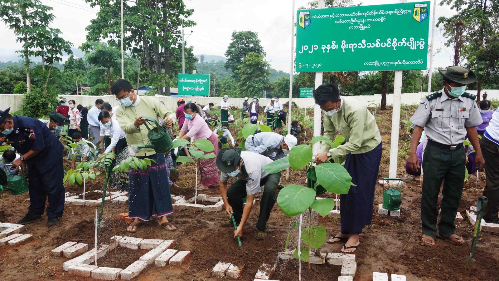 ကသာမြို့၌ ၂၀၂၁ ခုနှစ်၊ မိုးရာသီ သစ်ပင်စိုက်ပျိုးပွဲ ကျင်းပ