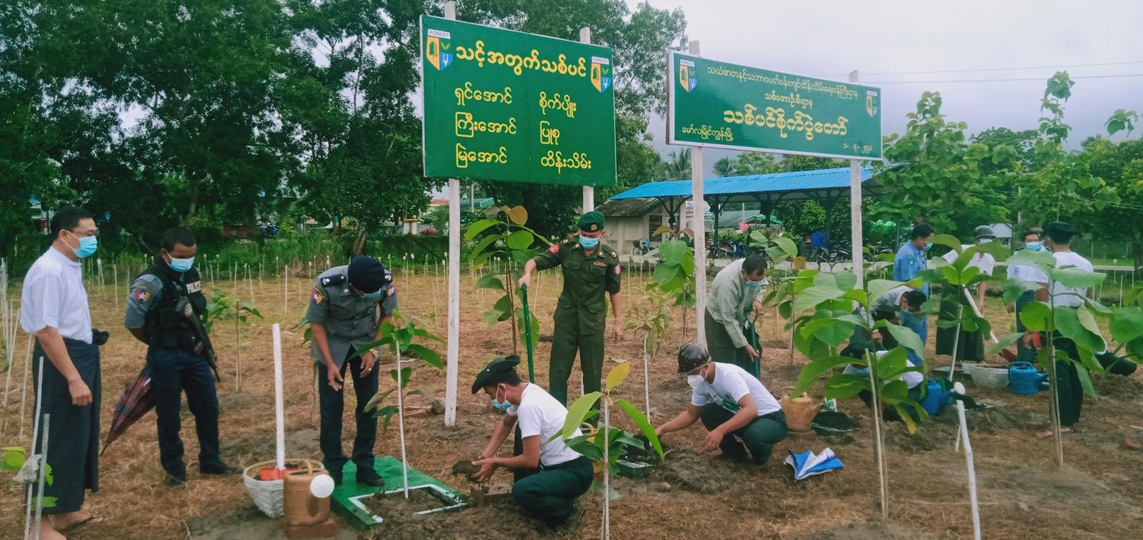 မော်လမြိုင်ကျွန်းမြို့နယ် ကုတင် ၁၀၀ ဆေးရုံဝန်းအတွင်း သစ်ပင်စိုက် ပွဲတော