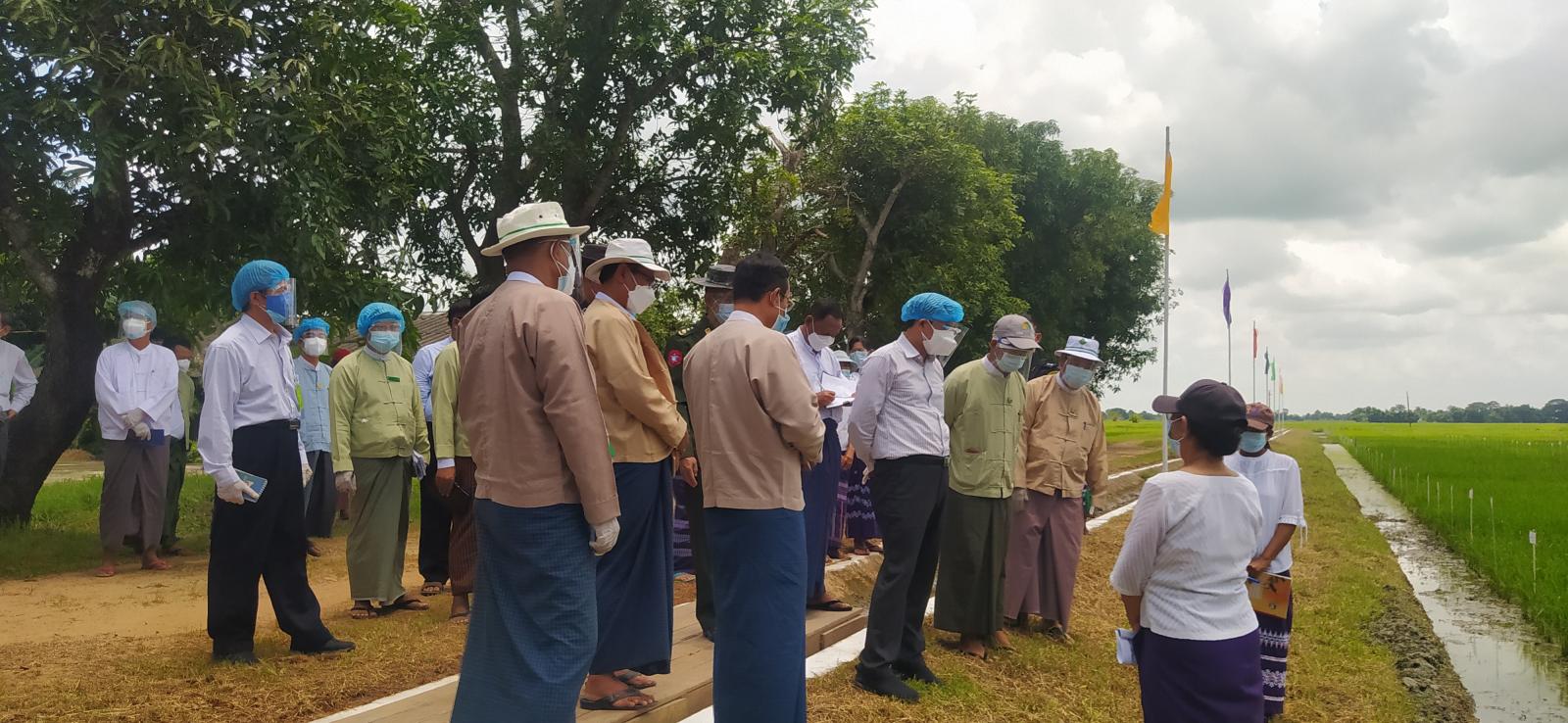 ပဲခူးတိုင်းဒေသကြီး ဝန်ကြီးချုပ်ဦးမျိုးဆွေဝင်း လက်ပံတန်းစိုက်ပျိုးရေးသုတေသနခြံ စပါး မျိုးများ ရ