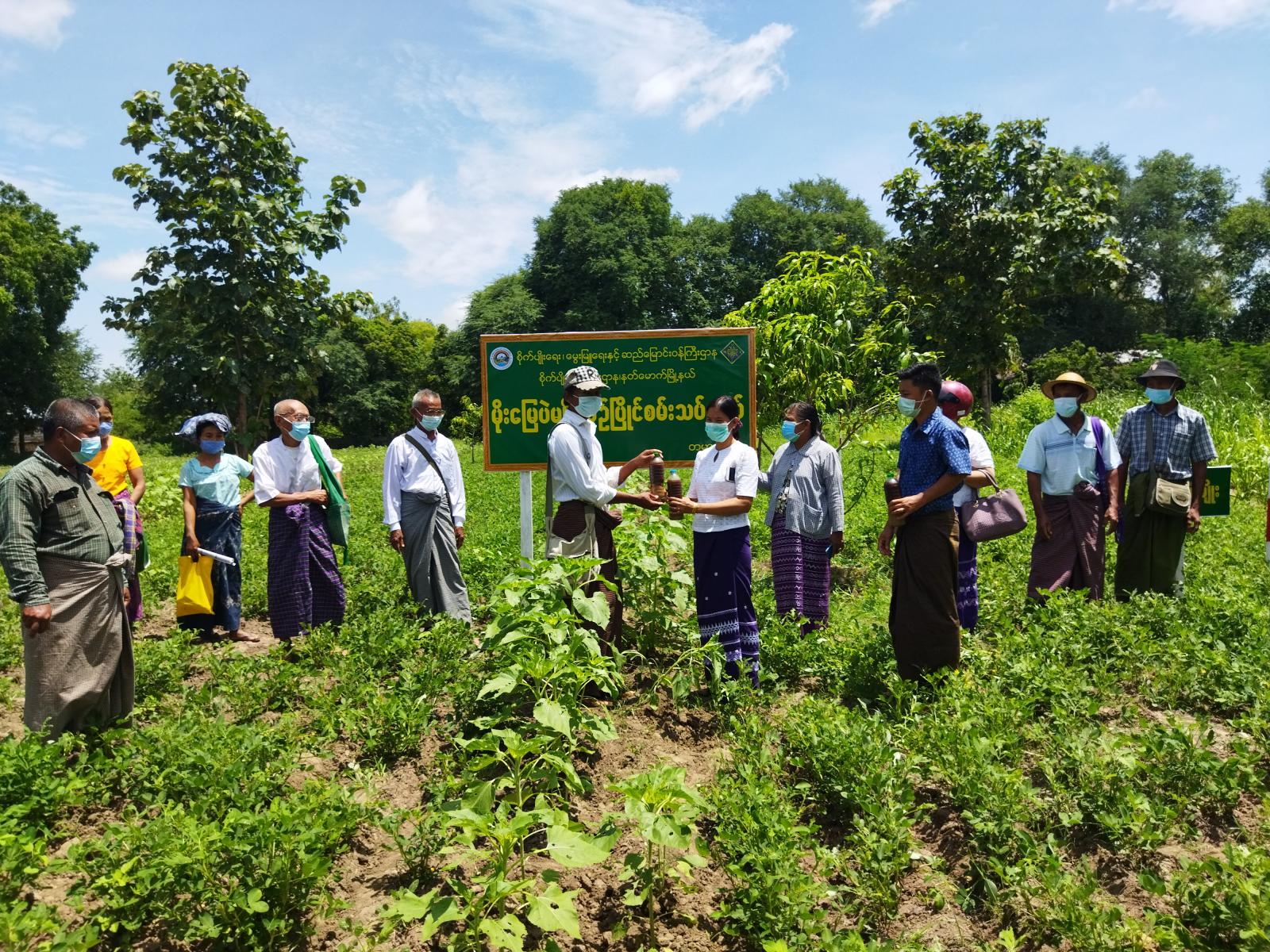 နတ်မောက်မြို့နယ်စိုက်ပျိုးရေးဦးစီးဌာနတွင် ပိုးသတ်ဆေးထောက်ပံ့ခြင်းနှင့