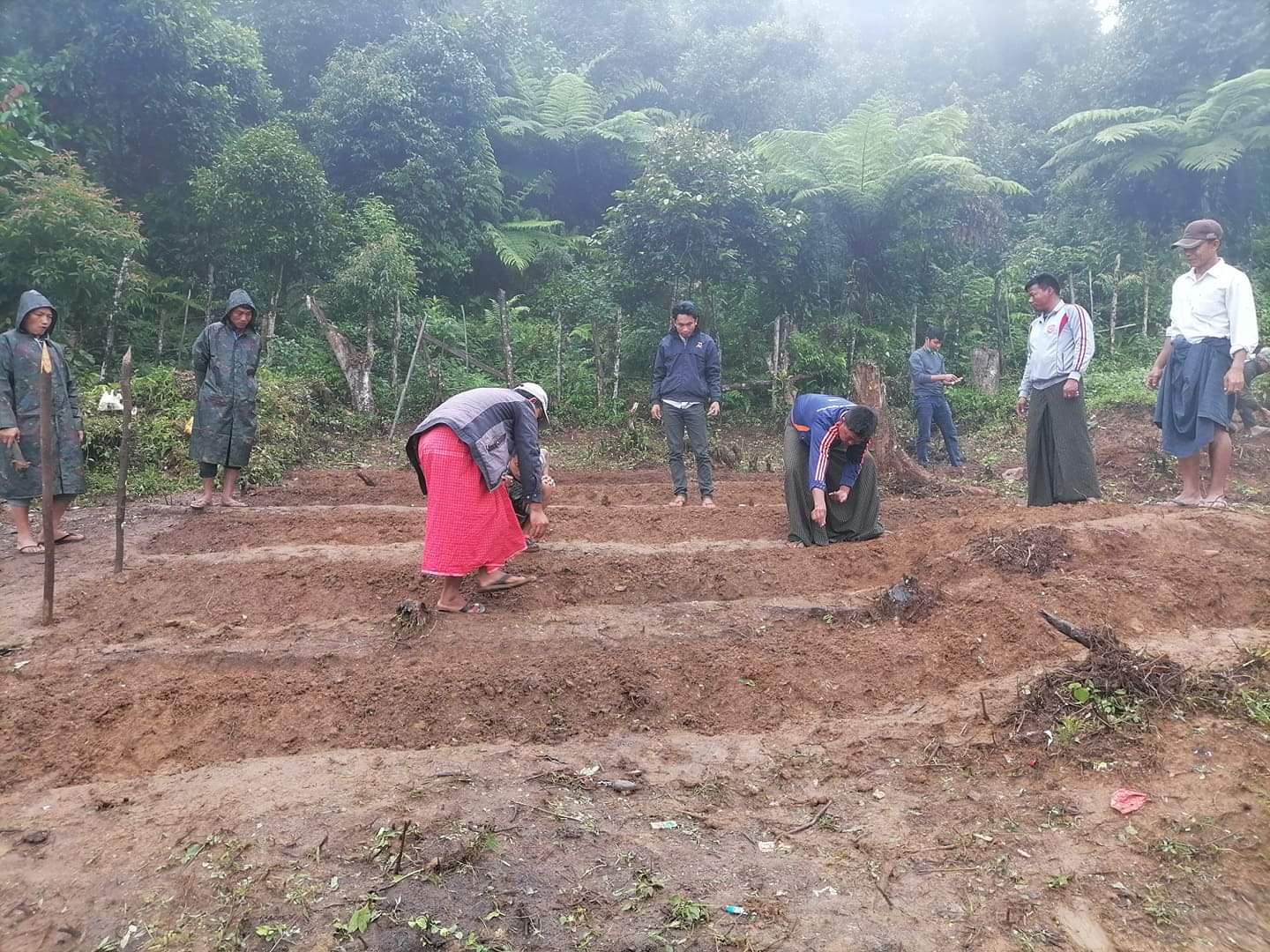 နာဂကိုယ်ပိုင်အုပ်ချုပ်ခွင့်ရဒေသ၊ ထန်ပါခွေမြို့၌ ဌာနဆိုင်ရာများ စုပေါင်း