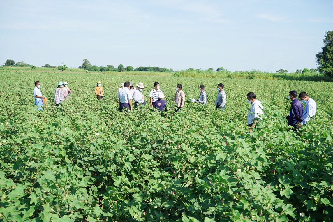 ကသာမြို့နယ်၌ ကိုဗစ် ၁၉ရောဂါကာကွယ်ဆေး မထိုးရသေးသော ပြည်သူများအား ကာကွယ်ဆေးများ ဆက်လက် ထိုးနှံပေးလ 