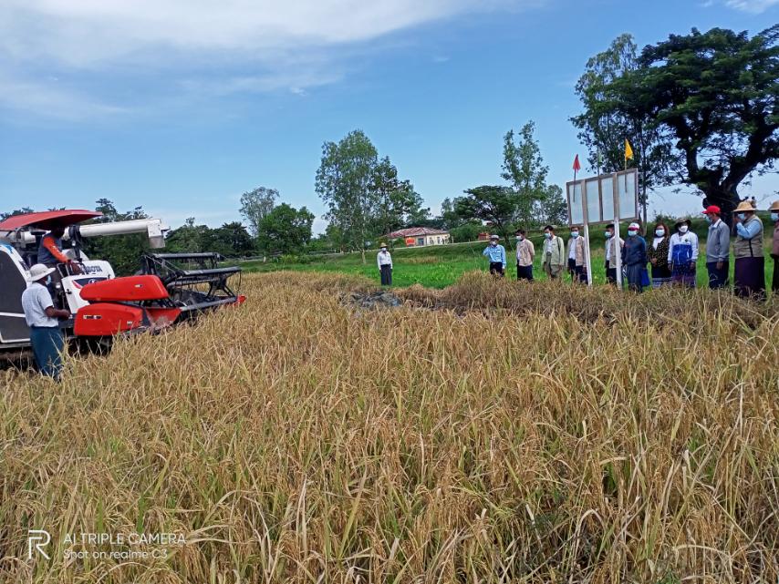 ၂၀၂၁ ၂၀၂၂ ခုနှစ် မိုးစပါးစံကွက် ရိတ်သိမ်းခြင်းနှင့် အခမ်းအနား ဒိုက်ဦးမ