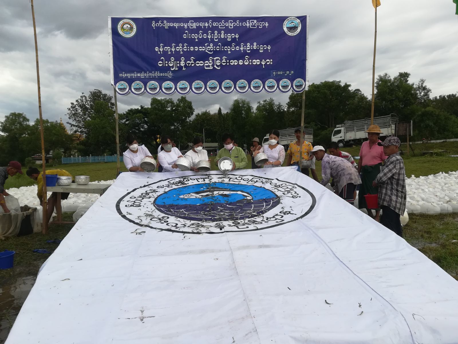 ကျောက်တန်းမြို့နယ် ဘန့်ဘွေးကုန်းဆည်အတွင်း ငါးမျိုးစိုက်ထည့်ခြင်း အခမ