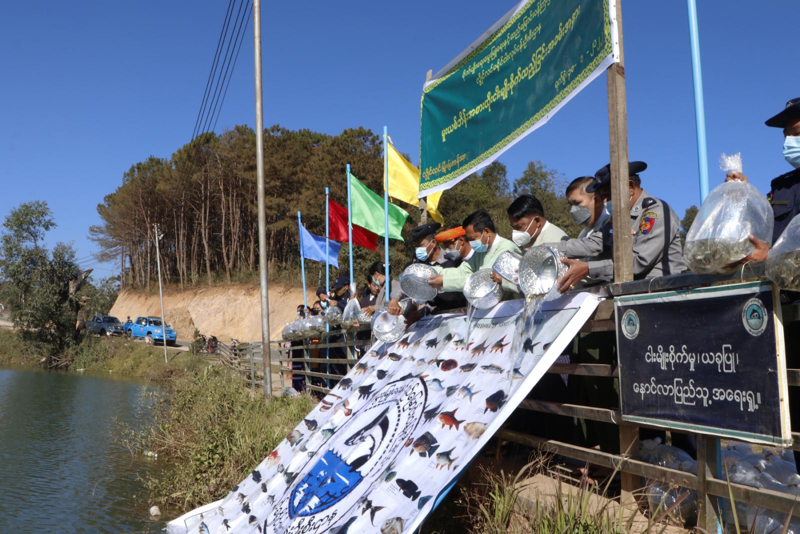 လွိုင်လင်မြို့ရှိ မြကန်သာ သဘာဝရေပြင်တွင် ငါးအကောင်ရေ ၅၀၀၀၀ စိုက်ထည့