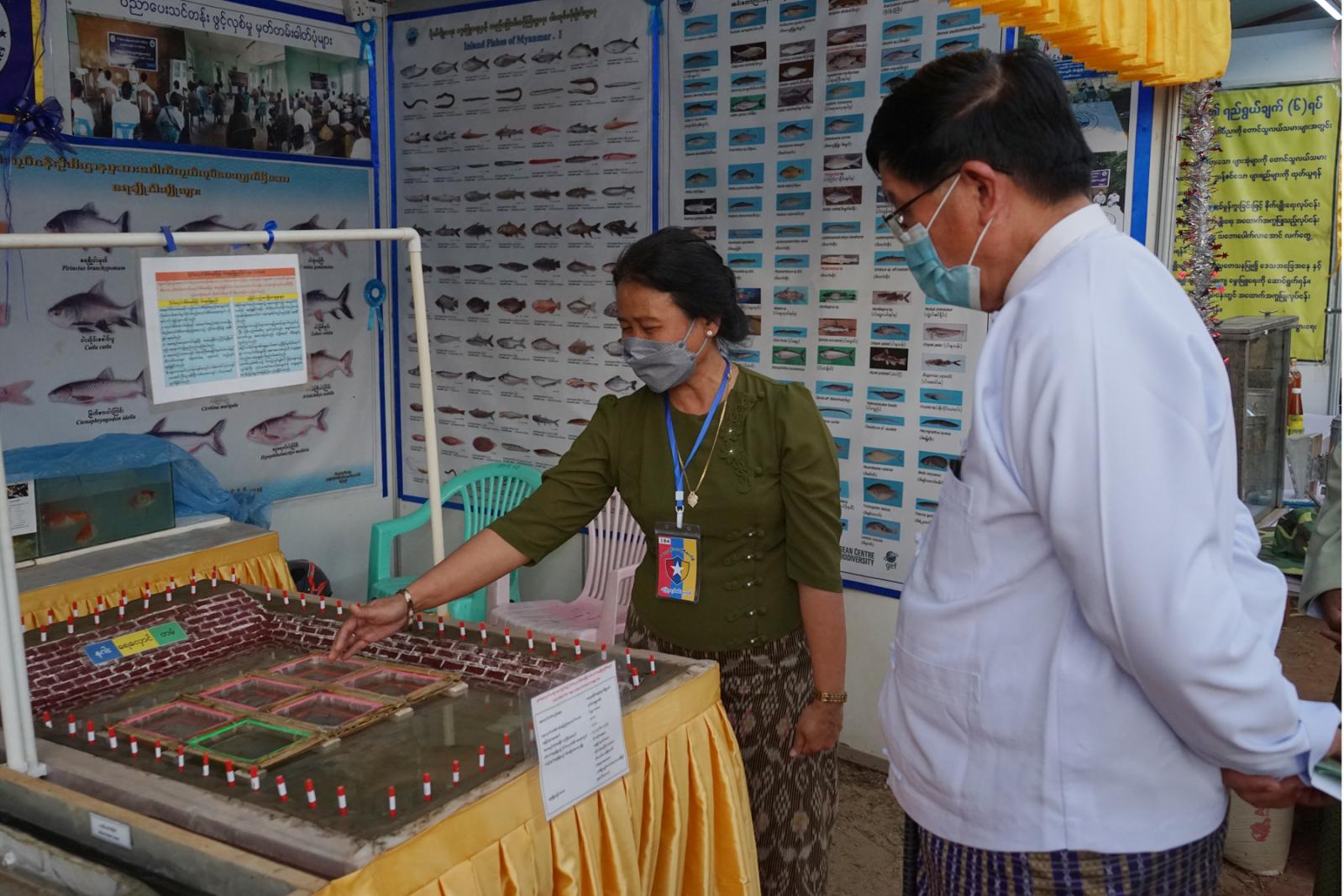 မကွေးတိုင်းဒေသကြီးအစိုးရအဖွဲ့ ဝန်ကြီးချုပ် ဦးတင့်လွင် ၇၅ နှစ်မြောက