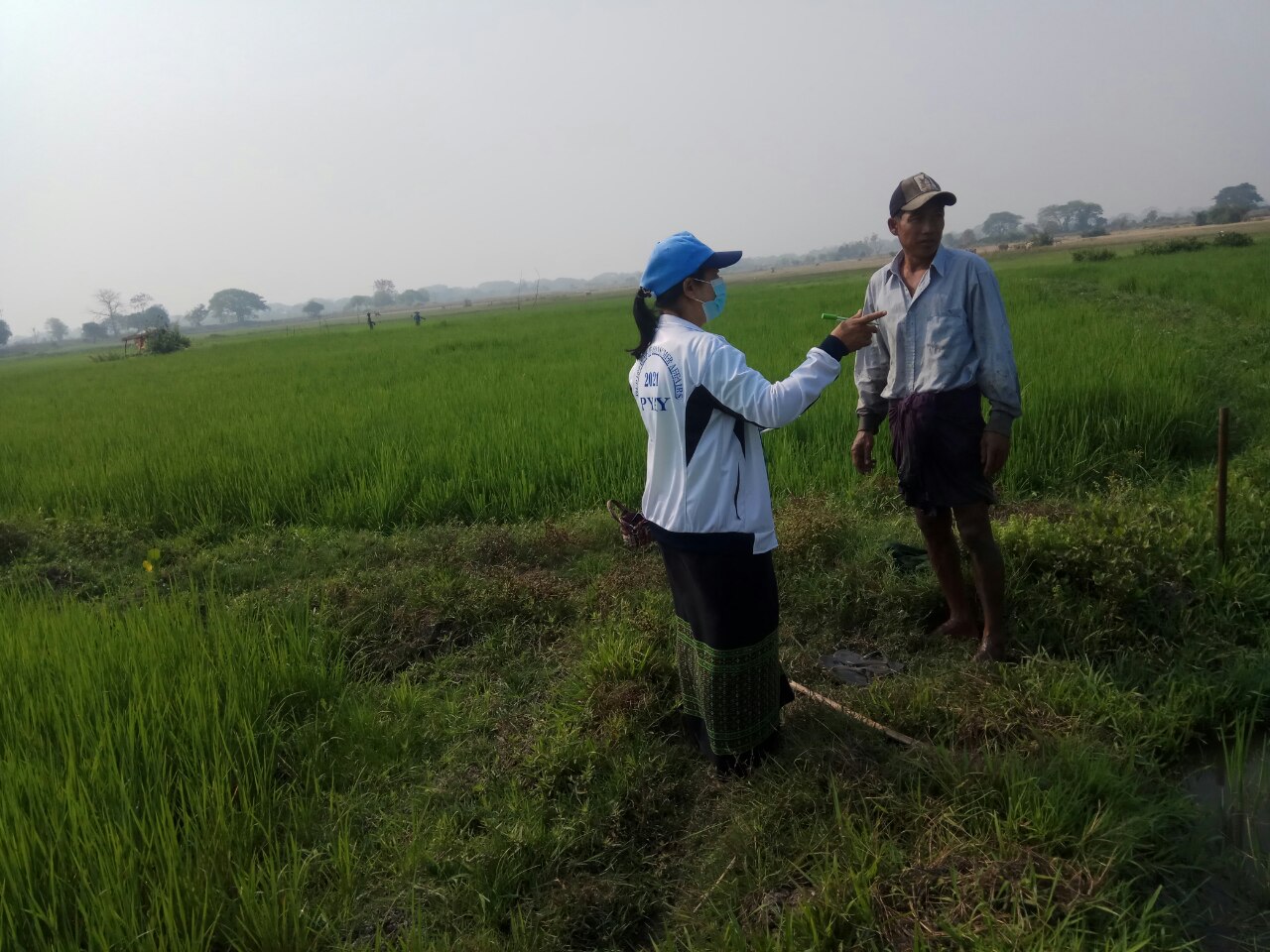 ပန်းတောင်းမြို့နယ် ညောင်ကုန်းကျေးရွာတွင် နွေးစပါးစိုက်တောင်သူနှင့် စားသုံးသူ ရေးရာဦးစီးဌာနမှ ကွင