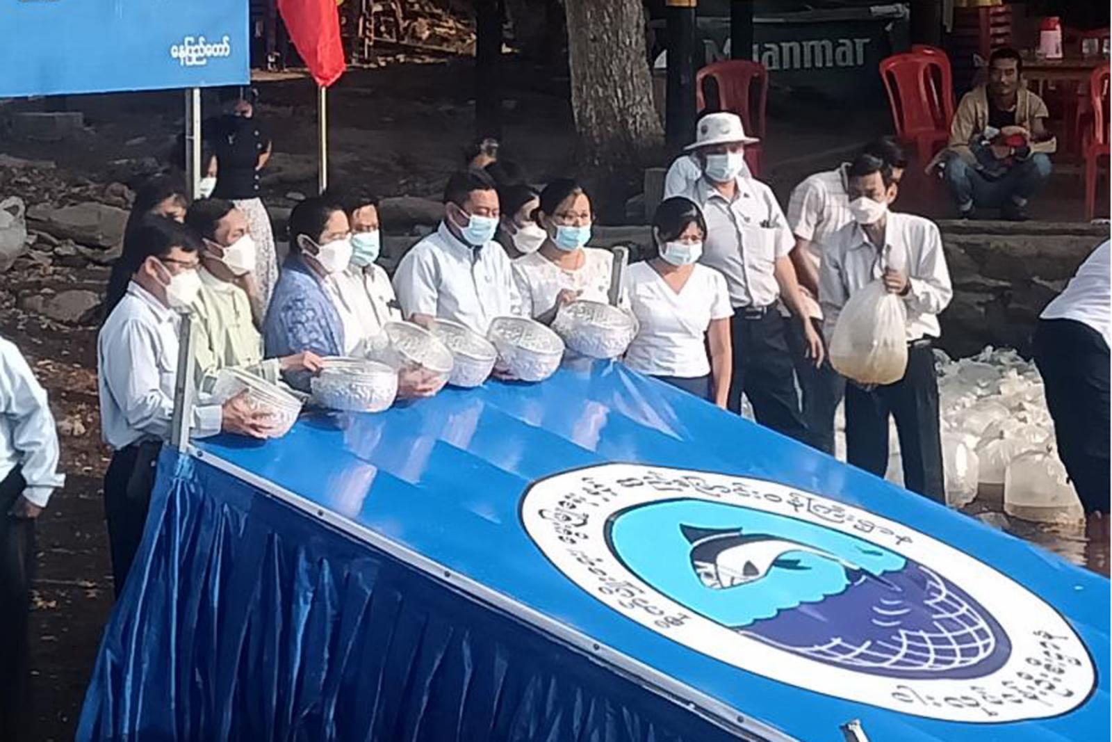 ဇေယျာသီရိမြို့နယ်ရှိ ပေါင်းလောင်းမြစ်အတွင်း ထိုင်းငါးခုံးမသားပေါက်ကောင