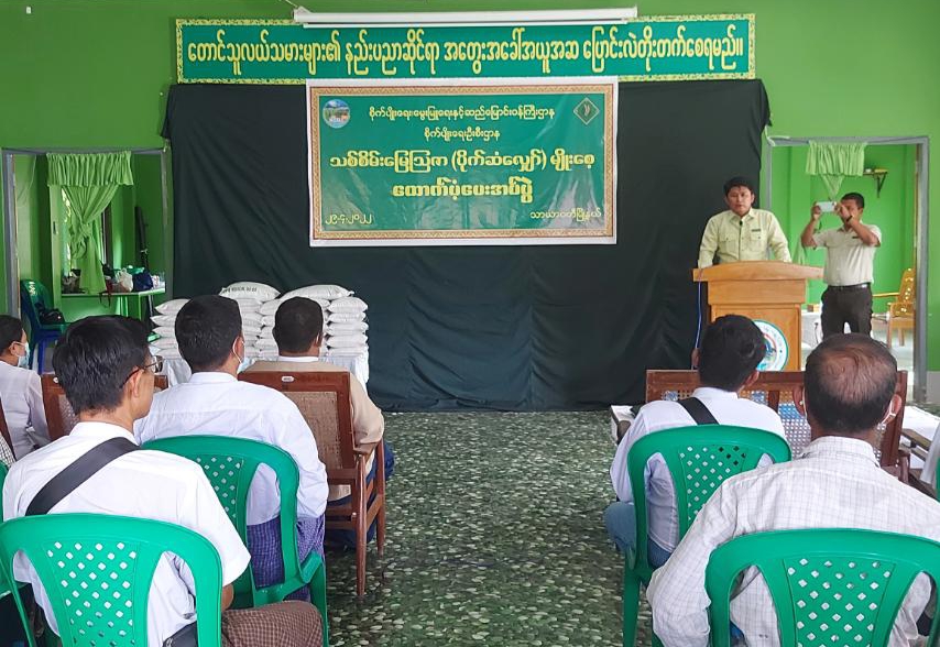 သာယာဝတီမြို့နယ်တွင် သစ်စိမ်းမြေဩဇာ ပိုက်ဆံလျှော် မျိုးစေ့ထောက