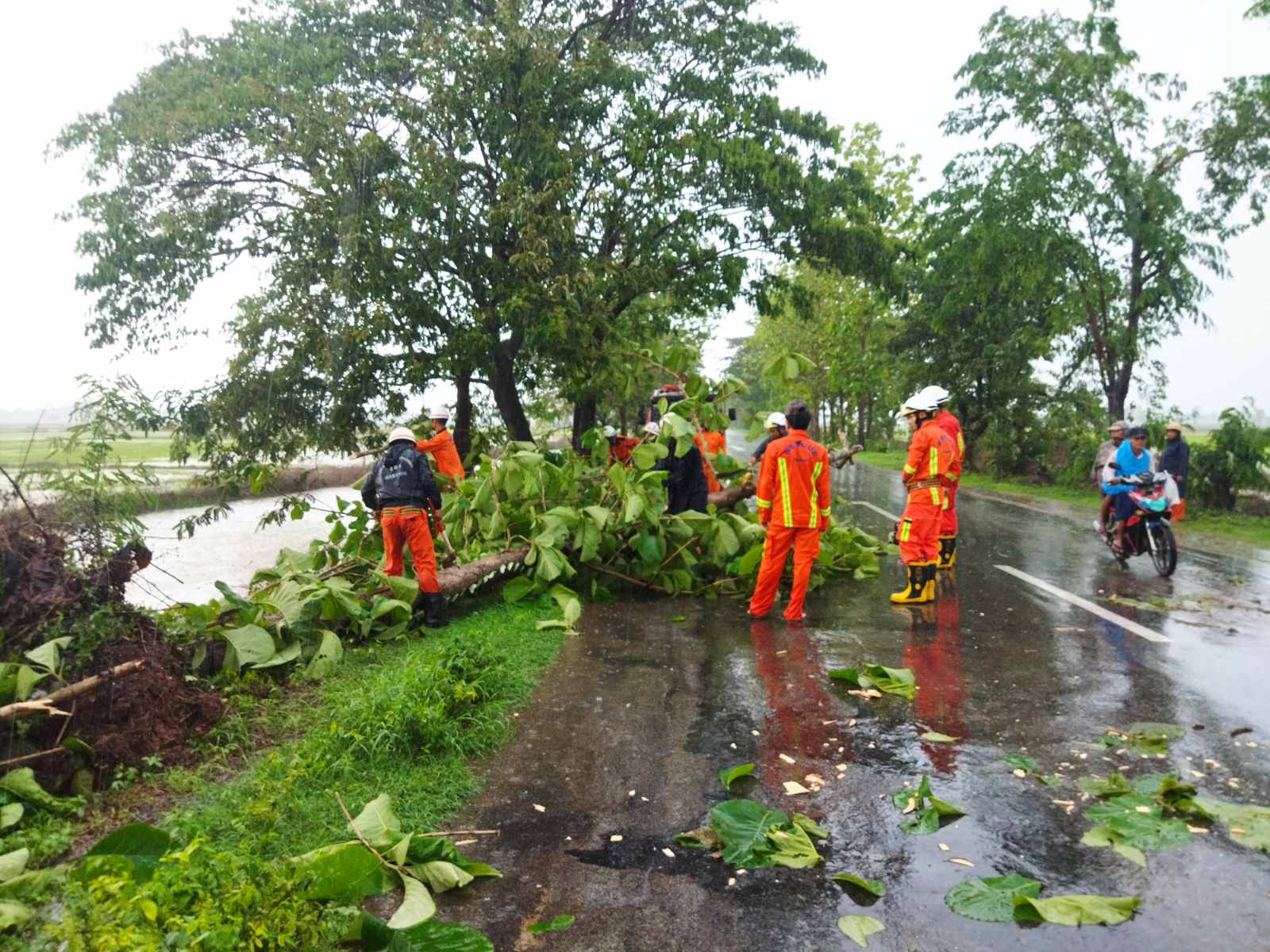ရန်ကုန် ပြည်ကားလမ်းတွင် မိုးရွာသွန်းမှုကြောင့် သစ်ပင်လဲကျနေမှုအား ရှင်းလင်း ဆောင်ရွက