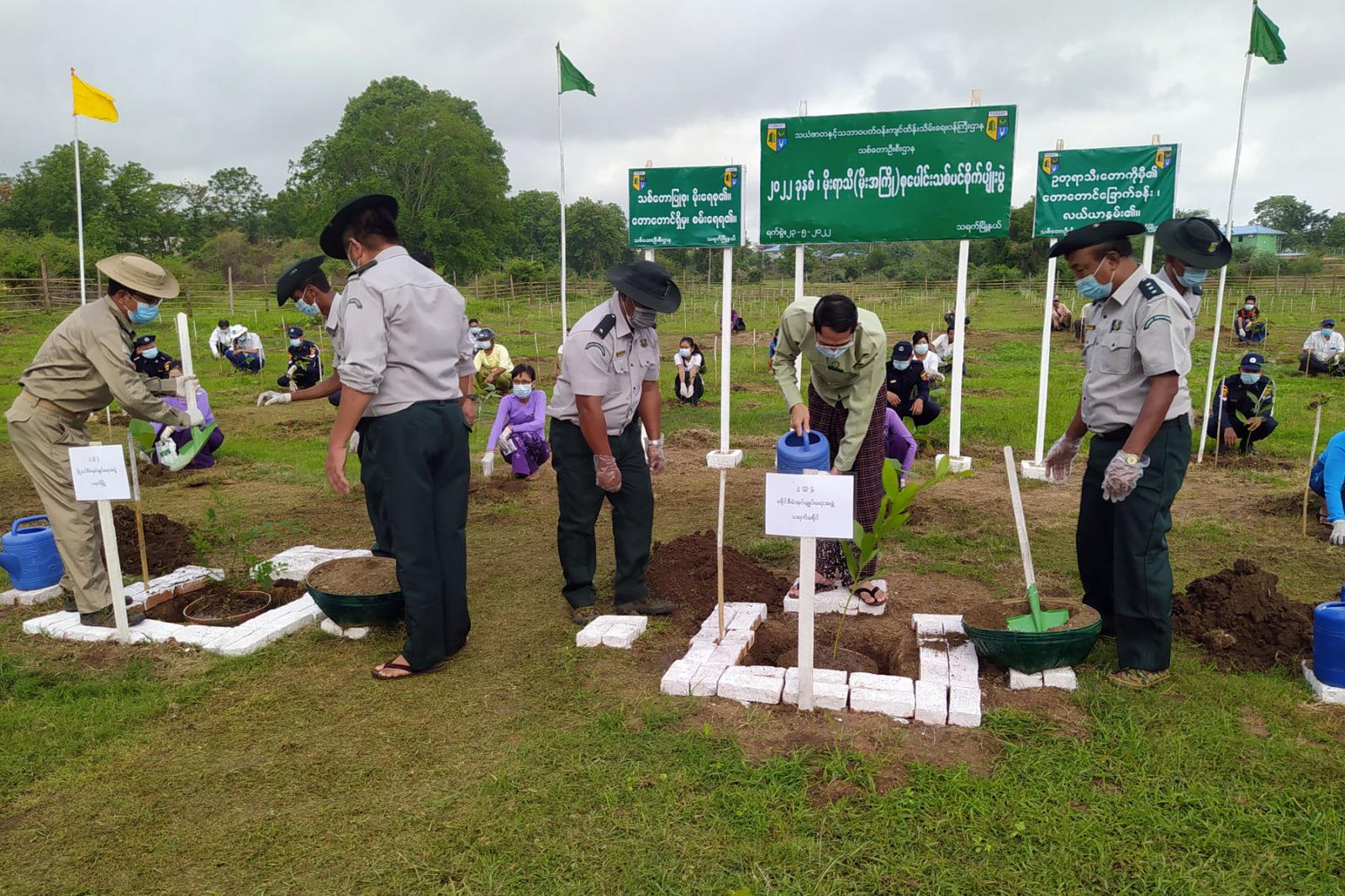 သရက်မြို့၌ ၂၀၂၂ ခုနှစ် မိုးရာသီ မိုးအကြို စုပေါင်းသစ်ပင်စိုက်ပျိုးပ