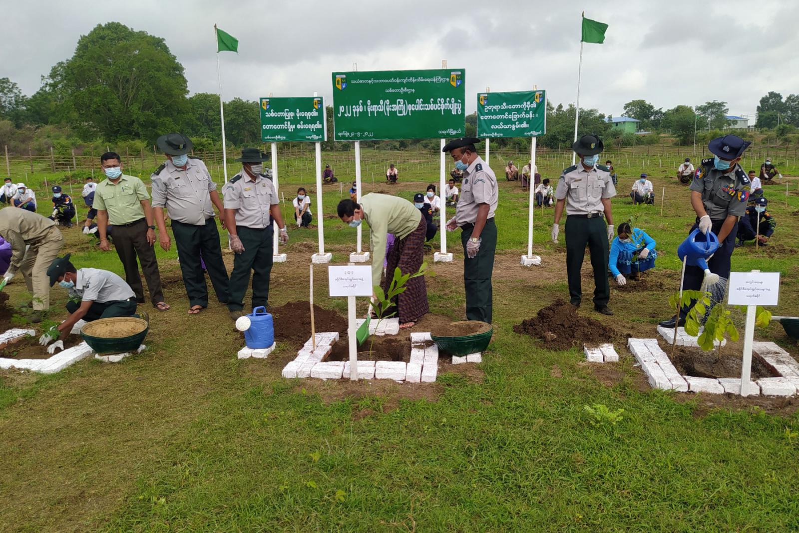 သရက်မြို့၌ ၂၀၂၂ ခုနှစ် မိုးရာသီ မိုးအကြို စုပေါင်းသစ်ပင်စိုက်ပျိုးပ