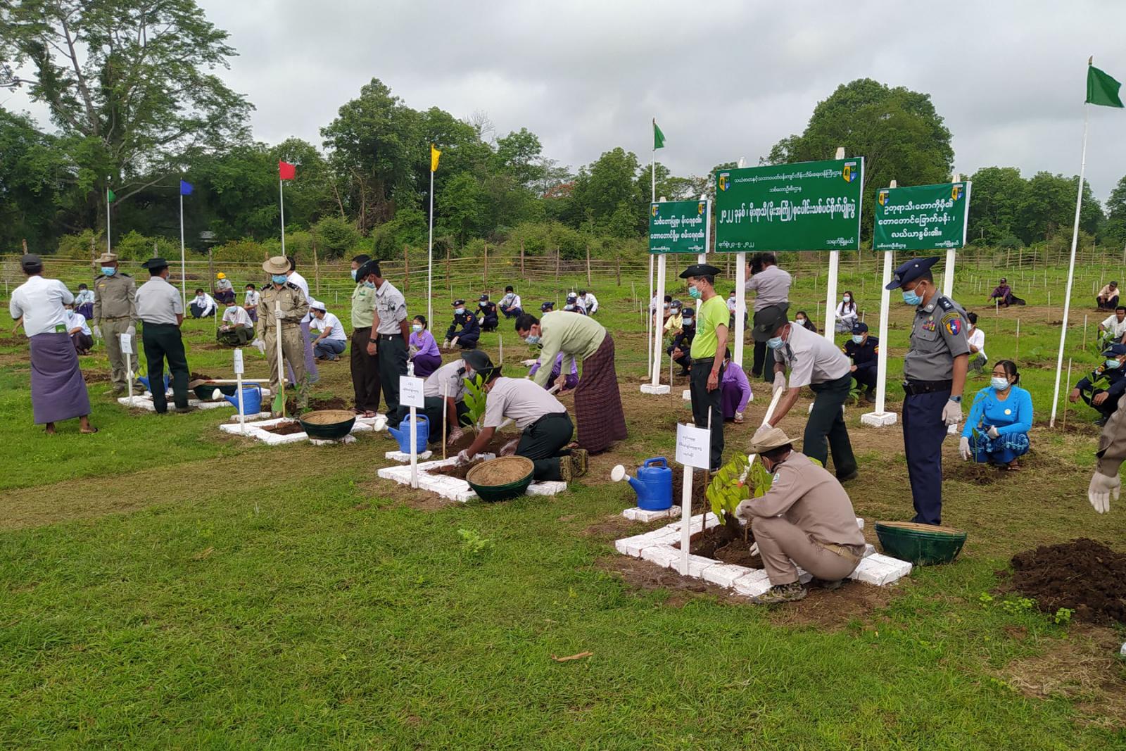 သရက်မြို့၌ ၂၀၂၂ ခုနှစ် မိုးရာသီ မိုးအကြို စုပေါင်းသစ်ပင်စိုက်ပျိုးပ