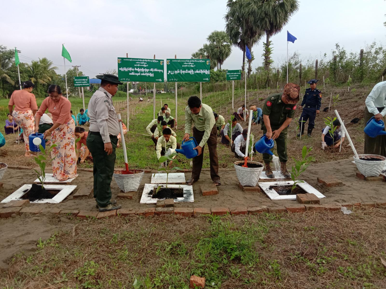 ဒေးဒရဲမြို့၌ ၂၀၂၂ ခုနှစ် မိုးရာသီ သစ်ပင်စိုက်ပျိုးပွဲ ကျင်းပ