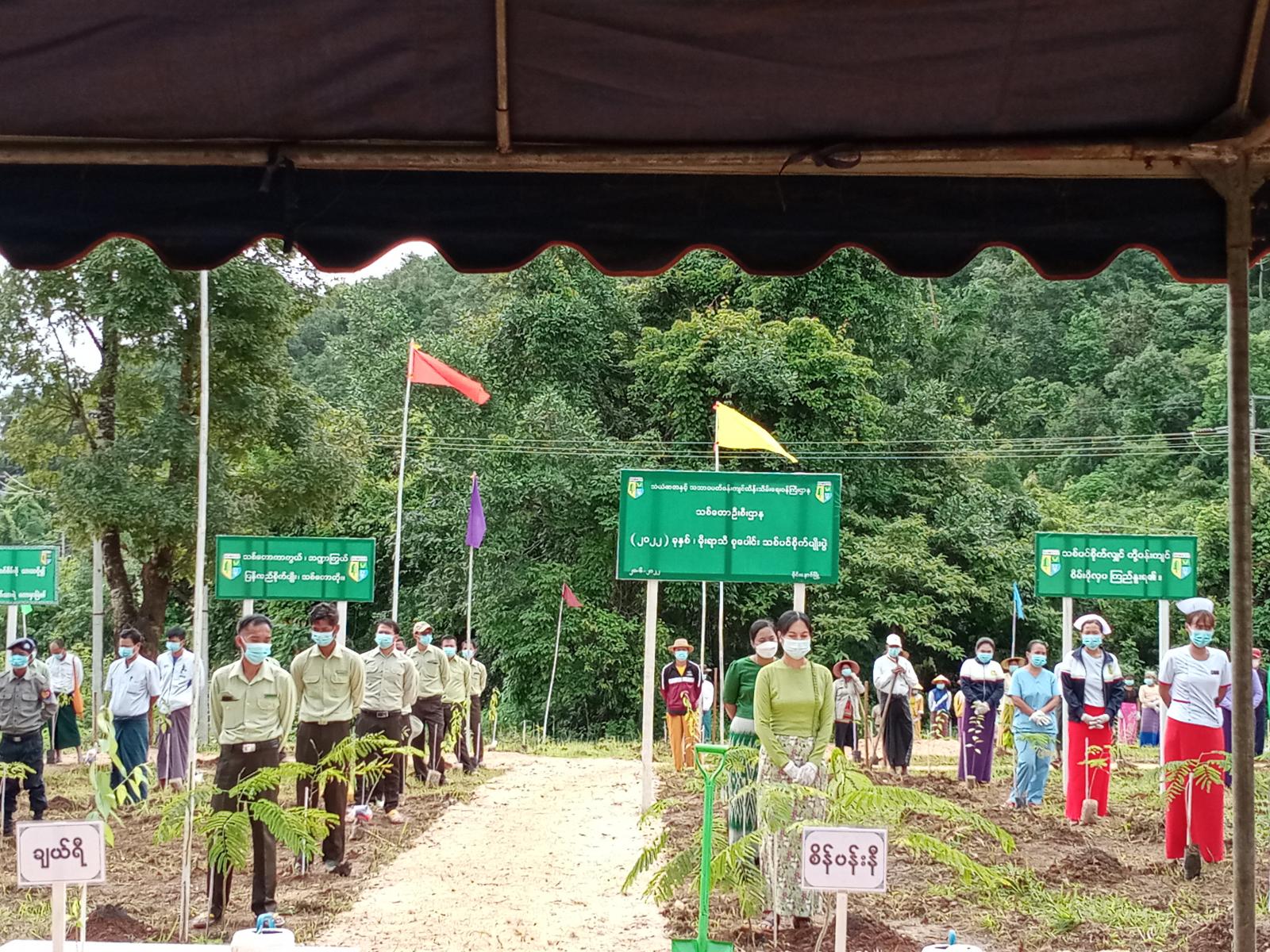 မိုင်းနောင်မြို့တွင် ၂၀၂၂ ခုနှစ် မိုးရာသီ လူထုစုပေါင်းသစ်ပင်စိုက်ပ