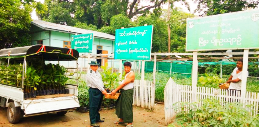 မြင်းမူမြို့နယ် သစ်တောဦးစီးဌာန မြို့မပျိုးဥယျာဉ်မှ ပြည်သူလူထုထံသို့ ပ