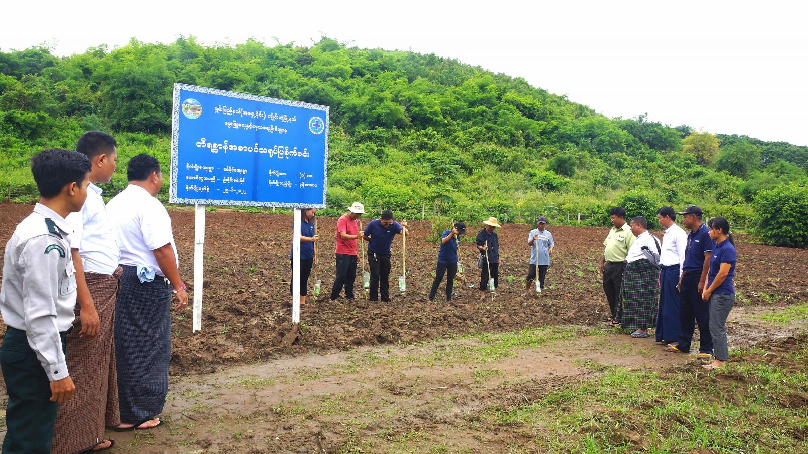 ကျိုင်းတုံမြို့နယ်တွင် ၂၀၂၂ ခုနှစ် မိုးရာသီ တိရစ္ဆာန်အစာပင် သရုပ်ပြစိုက
