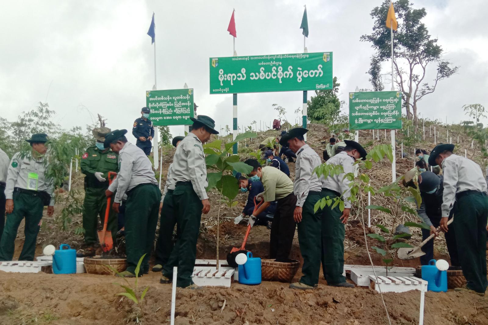 ဖြူးမြို့နယ်အတွင်း စိမ်းလန်းစိုပြေစေရေး၊ သဘာဝပတ်ဝန်းကျင်ထိန်းသိမ်းရေးအတွက် မိုးရာသီသစ်ပင်စိုက်ပ