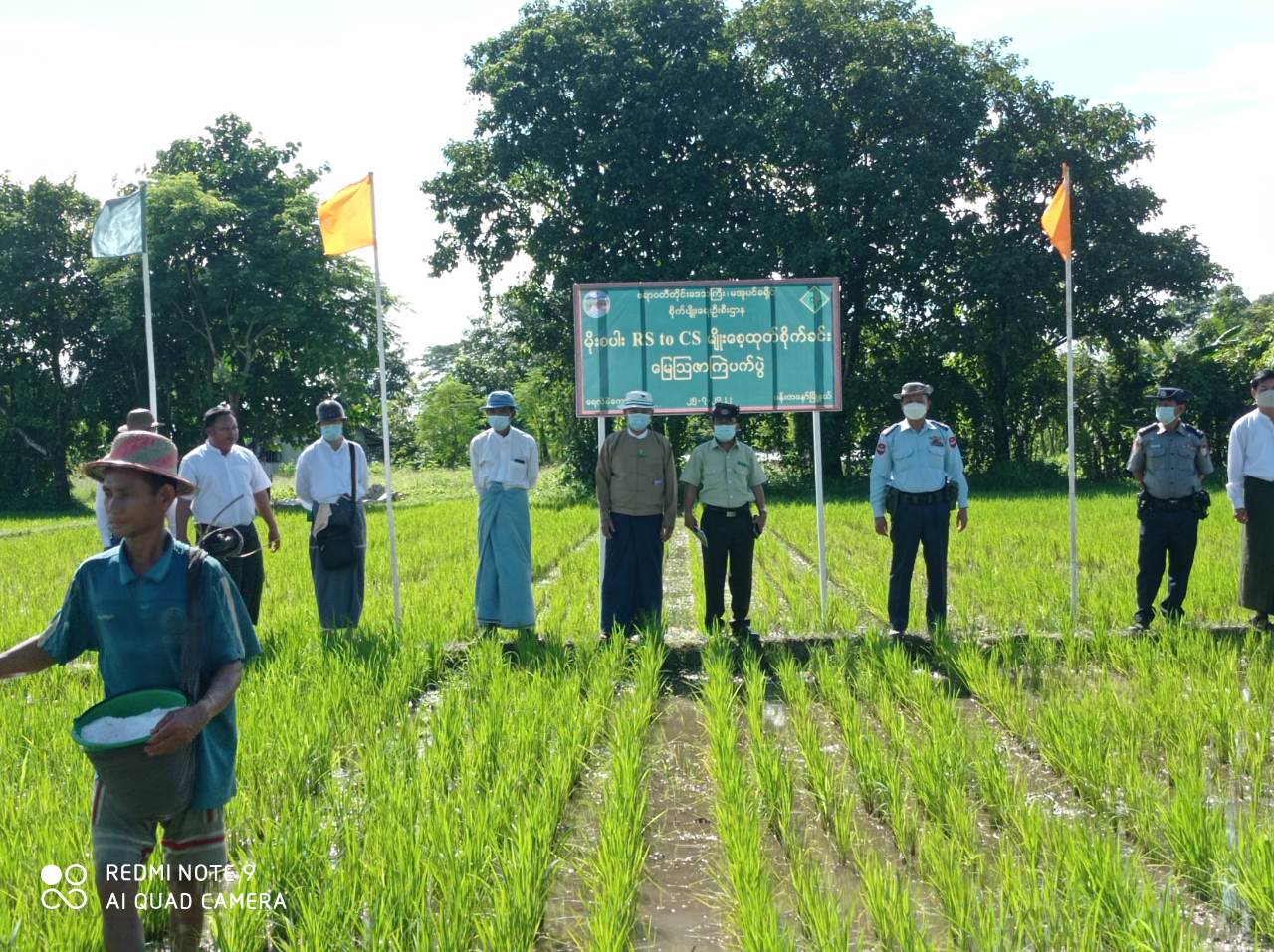 ပန်းတနော်မြို့နယ်တွင် မိုးစပါး Rs To Cs ဆင်းသုခ မျိုးစေ့ထုတ်စိုက်ခင