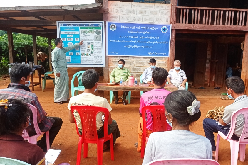 မိုးနဲမြို့နယ်၌ အသက်မွေးဝမ်းကျောင်းအထောက်အကူပြု ဘိန်းအစားထိုးလုပ်ငန်းမ
