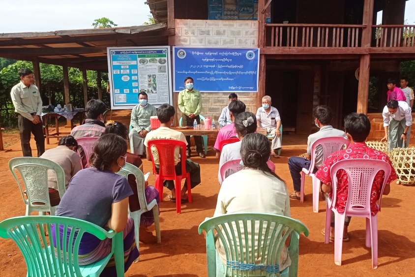 မိုးနဲမြို့နယ်၌ အသက်မွေးဝမ်းကျောင်းအထောက်အကူပြု ဘိန်းအစားထိုးလုပ်ငန်းမ