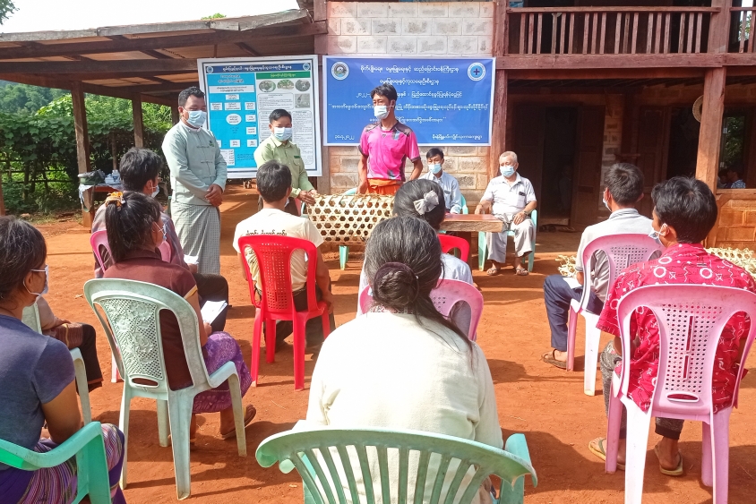 မိုးနဲမြို့နယ်၌ အသက်မွေးဝမ်းကျောင်းအထောက်အကူပြု ဘိန်းအစားထိုးလုပ်ငန်းမ