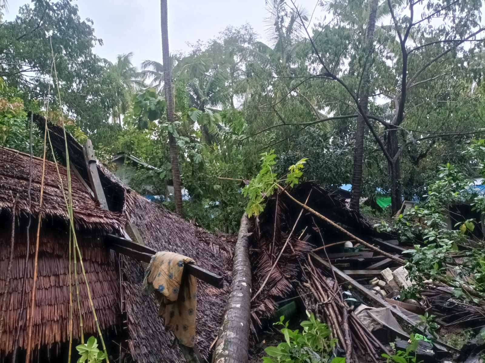 ချောင်းသာမြို့ ကံကြီးကျေးရွာ၌ မိုးရွာသွန်းပြီး လေပြင်းတိုက်ခတ်မှုကြောင့် လူနေအိမ်ပေါ်သို့ သစ်ပင