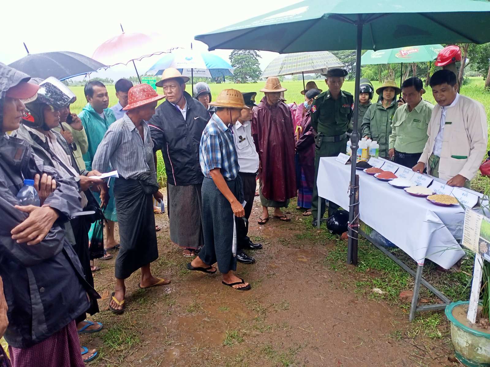 ဒိုက်ဦးမြို့နယ် ပေါက်တပင်ကျေးရွာ၌ တောင်သူနည်းပညာပေး ဆွေးနွေးပွဲကျင်းပ