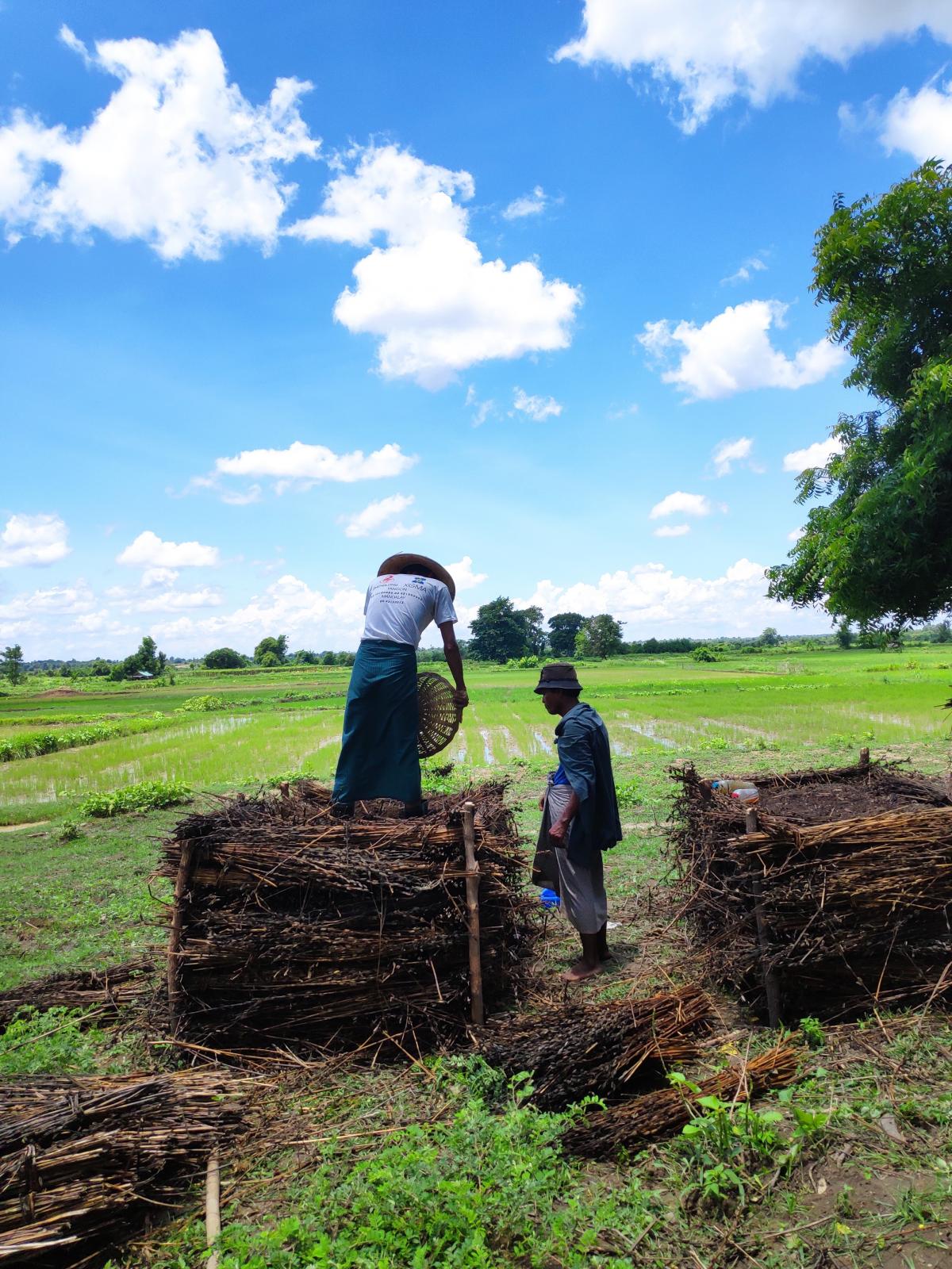 နတ်မောက်မြို့နယ် စိုက်ပျိုးရေးဦးစီးဌာနမှ န ကျားထူးကျေးရွာတွင် သဘာဝမြေဆွေးများ လက်တွေ့ပြုလုပ်ပြသ