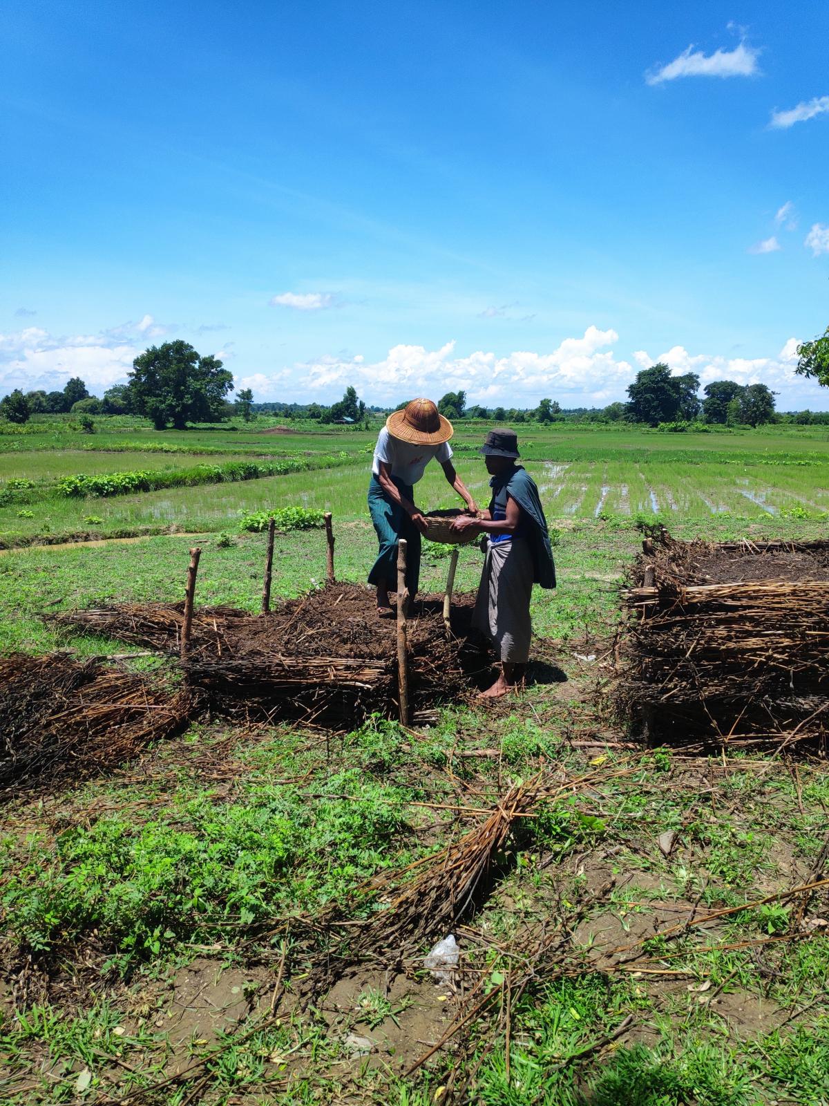 နတ်မောက်မြို့နယ် စိုက်ပျိုးရေးဦးစီးဌာနမှ န ကျားထူးကျေးရွာတွင် သဘာဝမြေဆ
