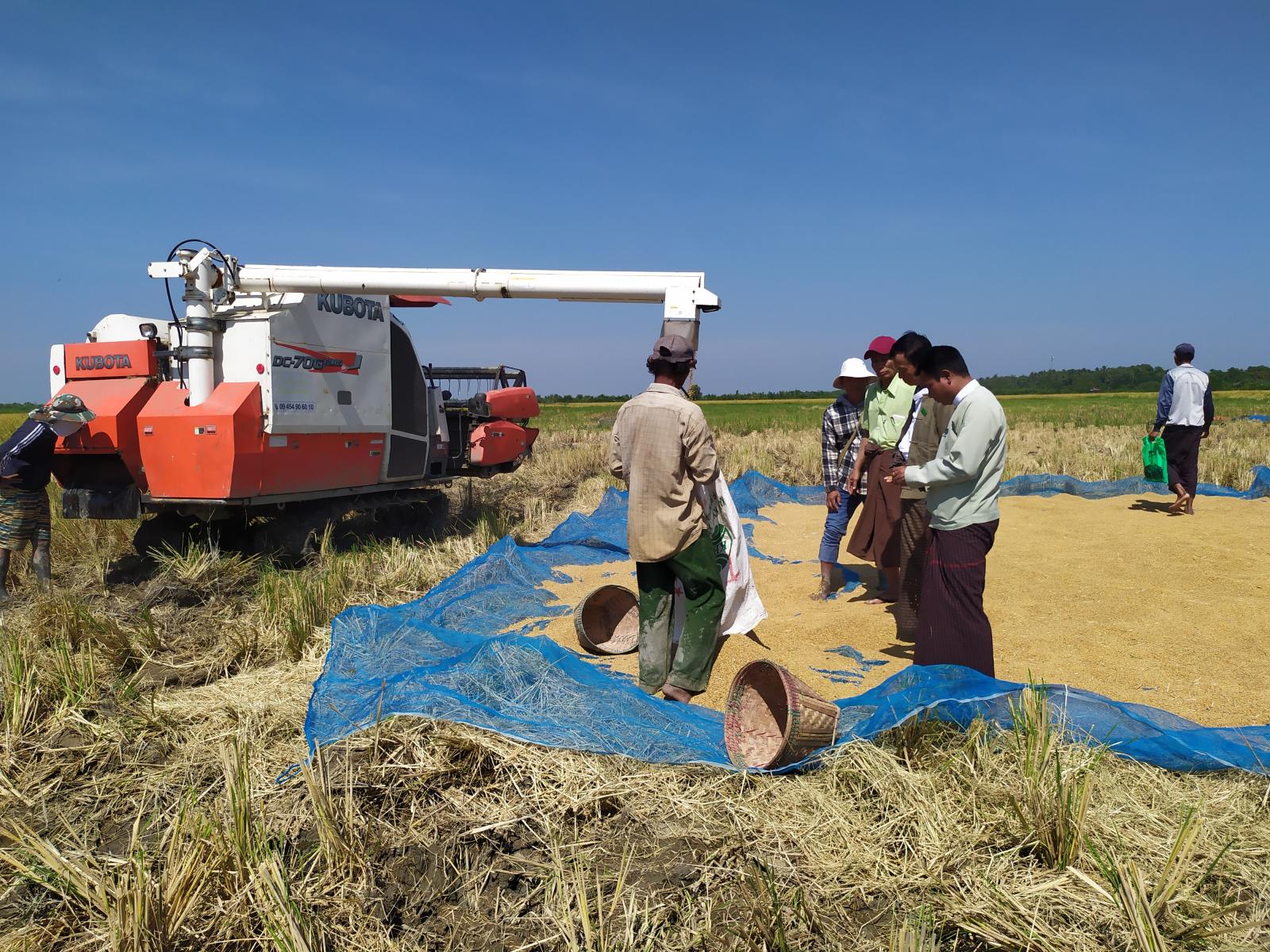 အမာမြို့၊ ဘဝသစ်ကျေးရွာအုပ်စု၊ ကံကြီးဘအေးကျေးရွာ၌ ပေါ်ဆန်းရင် မိုးစပ