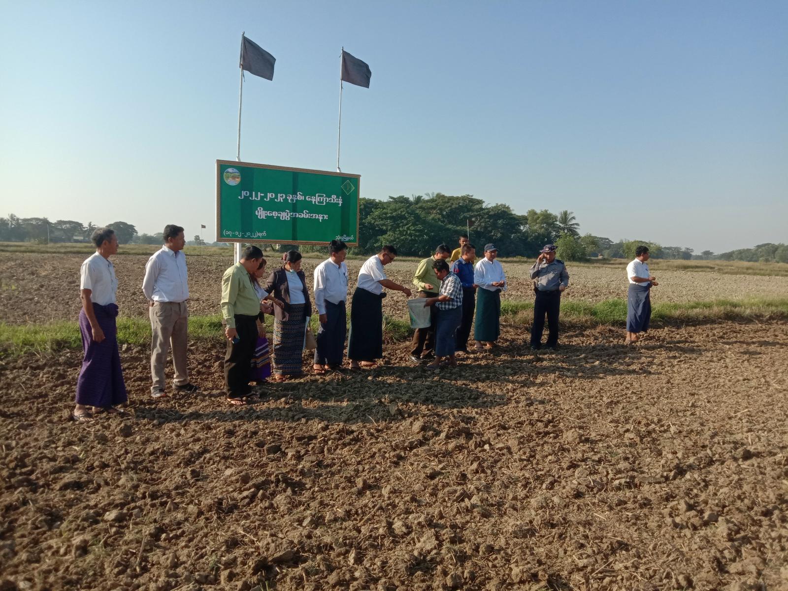 သုံးခွမြို့၌ ၂၀၂၂ ၂၀၂၃ ခုနှစ် ရေဆင်းစပ်မျိုးနေကြာ ၁ ဆောင်းနေကြာသီးနှံ
