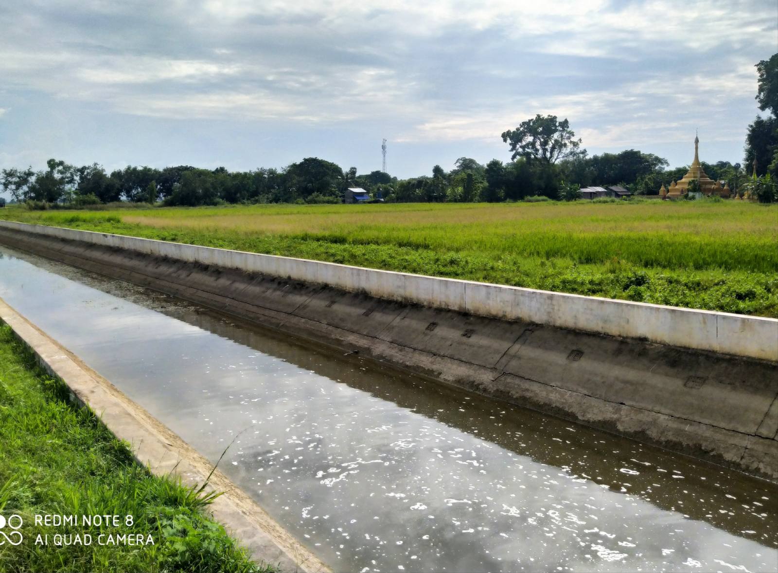 ပေါင်းတည်မြို့၌ ဆည်ရေ ဖြန့်ဝေရရှိမှုလုံလောက်စွာဖြင့် နွေစပါးစိုက်ခင်းများ ဖြစ်ထွန်းအောင်မြင