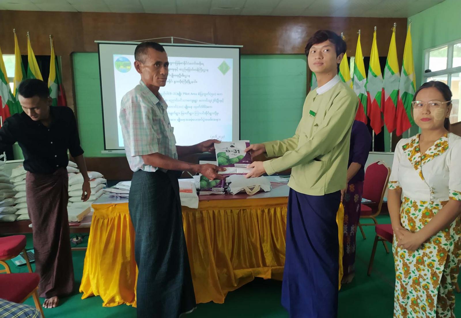 နွားထိုးကြီးမြို့၌ ၂၀၂၃ ၂၀၂၄ ဘဏ္ဍာနှစ် မျိုးကောင်းမျိုးသန့် ချည်မျှင်ဝ