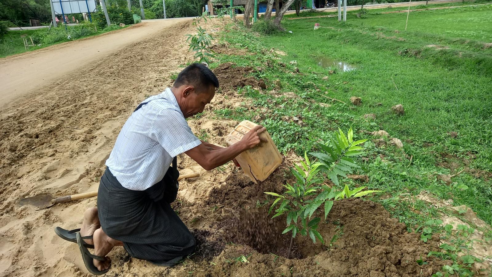 တောင်တွင်းကြီးမြို့ သဖန်းကုန်းကျေးရွာ စိမ်းလန်းစိုပြေသာယာလှပစေရေး ရွာဝင